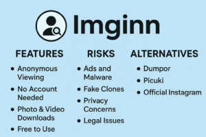 Imginn: Features, Risks, and Best Alternatives in 2025